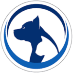 Best Vet Clinic In Lockport, NY | Lake Avenue Veterinary
